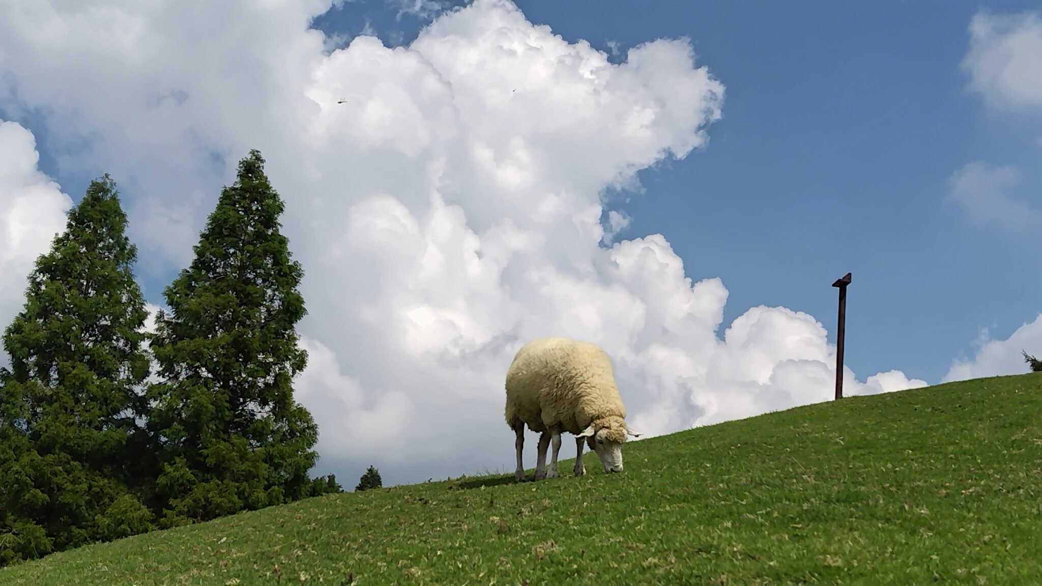 Kobe Rokko Railway Co., Ltd. | Rokko Cable and Rokko Sanjo Bus website ...