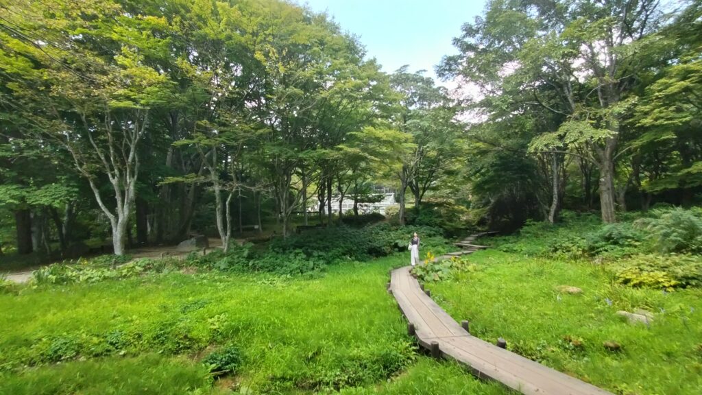 Kobe Rokko Railway Co., Ltd. | Rokko Cable and Rokko Sanjo Bus website ...